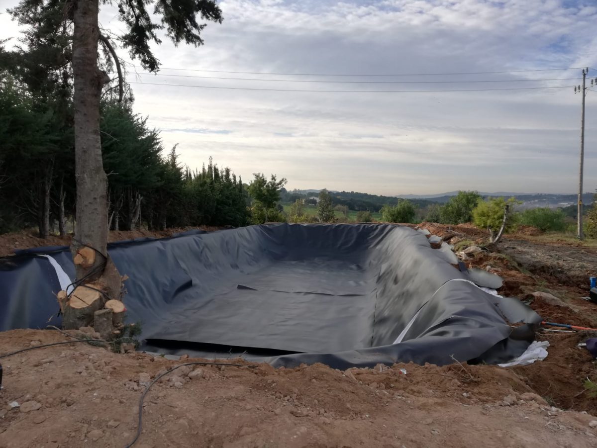 Balsas de agua | Balsas de riego | Precio